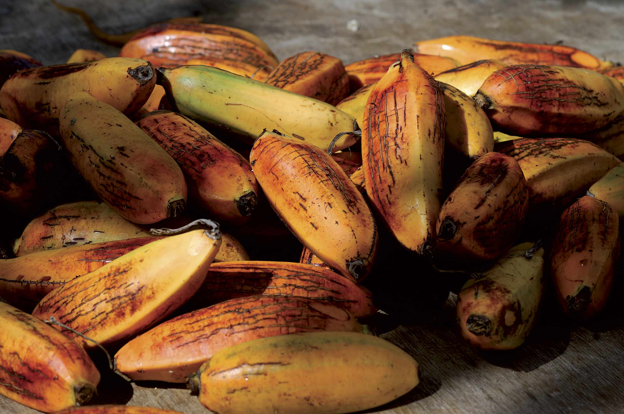 Les fruits tahitiens – Tahit Export Welcome Tahiti